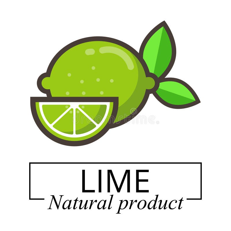 Lime stock vector. Illustration of ingredient, vegetarian - 92540006
