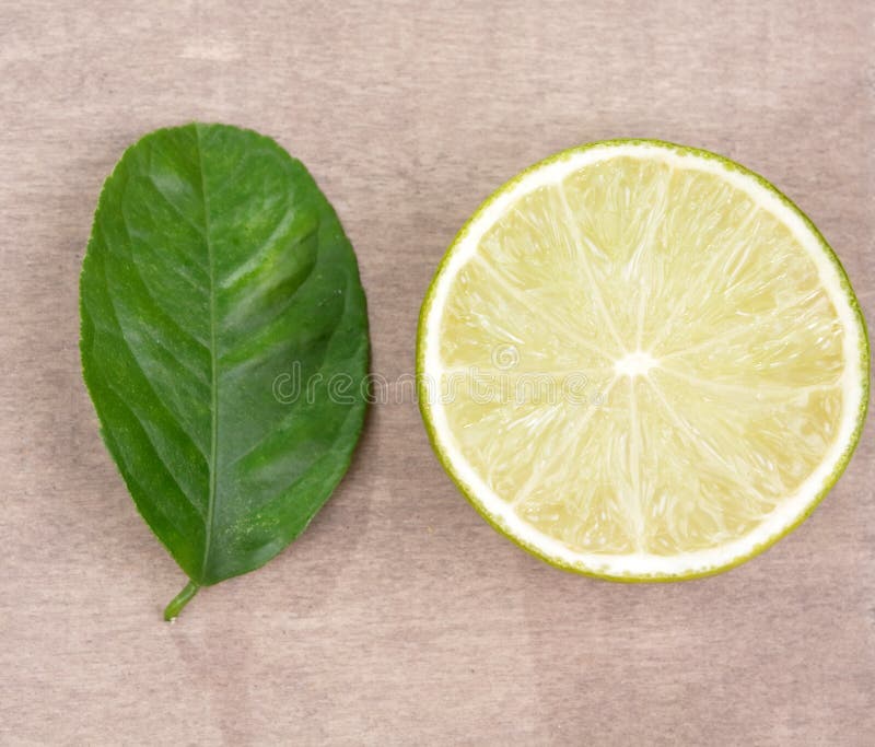 Lime with leaf stock image. Image of fruit, dieting, lemon - 10665117