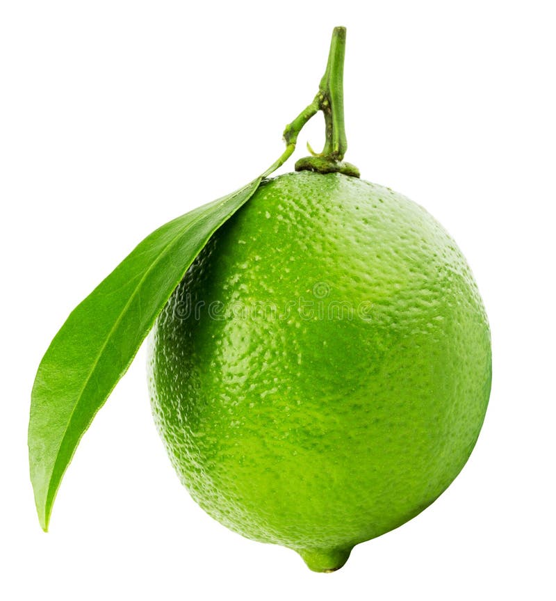Lime with Leaf Isolated on White Background Stock Image - Image of ...
