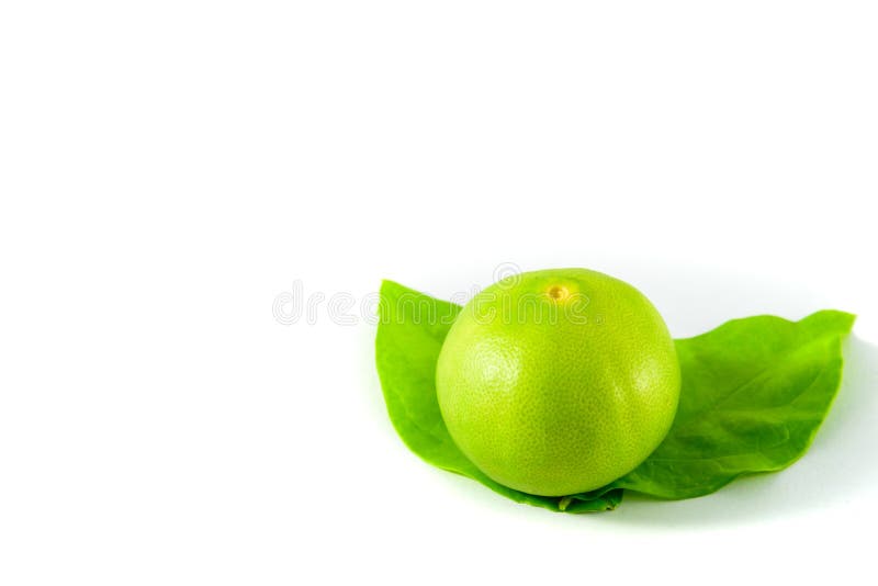 Lime with Leaf Isolated on a White Stock Photo - Image of tropical ...