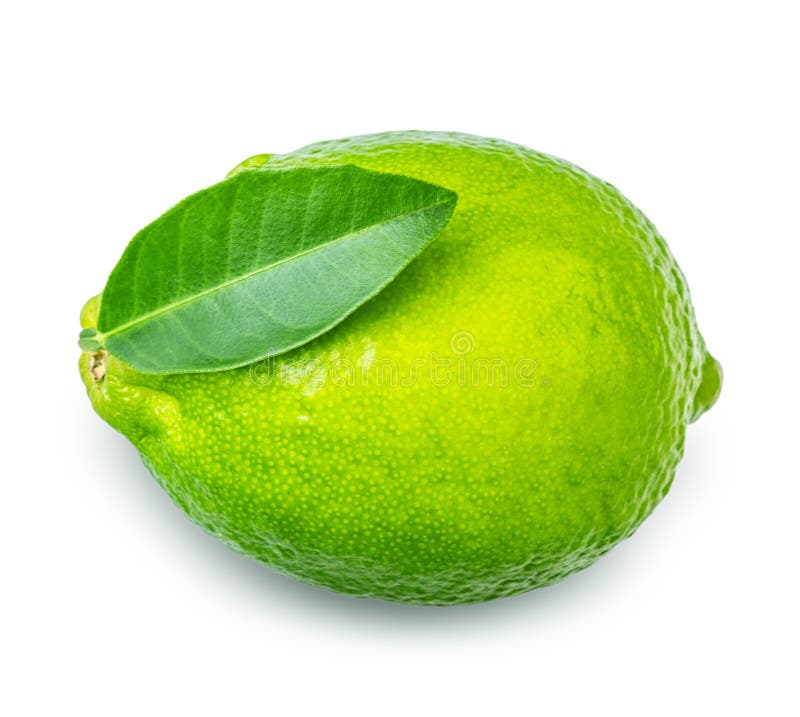 Lime with leaf stock image. Image of healthy, fresh, plant - 65724023