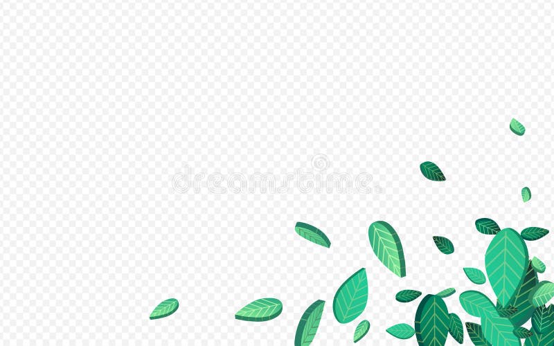 Lime Leaf Tree Vector Transparent Background Stock Vector ...