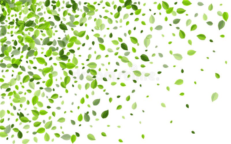 Lime border stock vector. Illustration of seamless, background - 41422879 Lime border stock vector. Illustration of seamless, background - 41422879