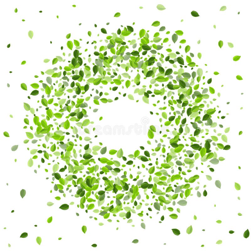 Lime Leaves Flying Vector Transparent Background Stock Vector ...