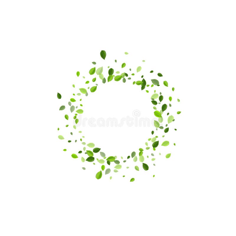 Lime border stock vector. Illustration of seamless, background - 41422879 Lime border stock vector. Illustration of seamless, background - 41422879