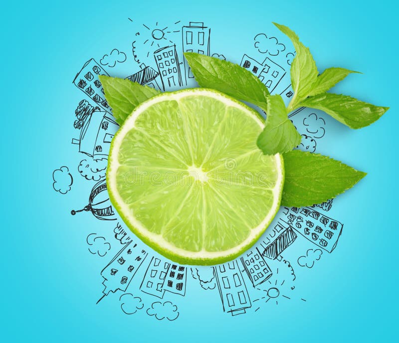 Lime stock photo. Image of refreshing, studio, lemon - 60353836