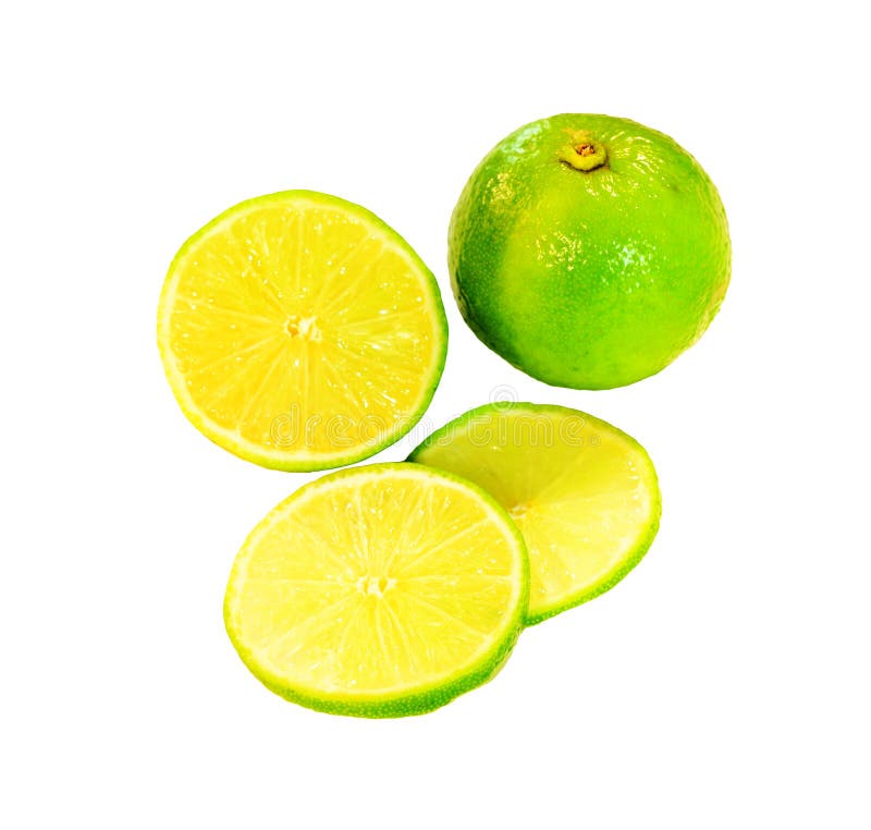 Lime stock photo. Image of group, circular, limes, macro - 86562112