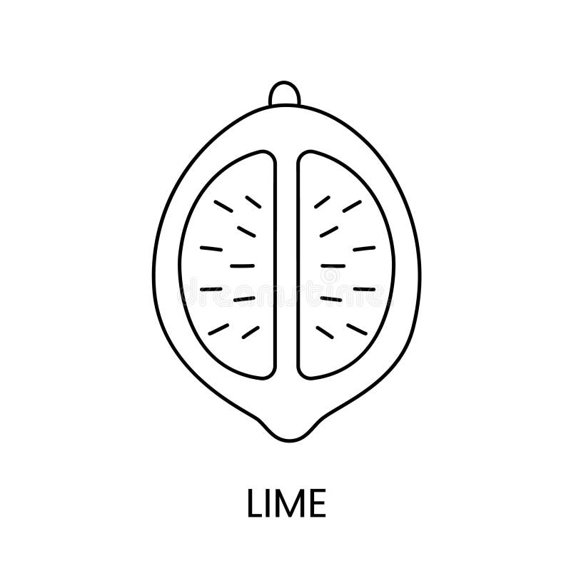 Lime Line Icon in Vector, Citrus Fruit Illustration Stock Vector ...