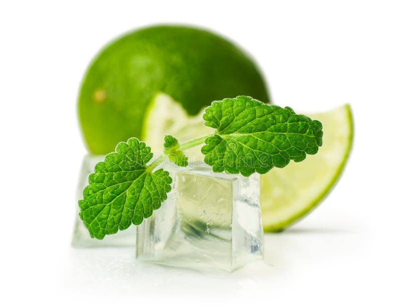 Lime Slices stock image. Image of lime, refreshing, garnishment - 3469125