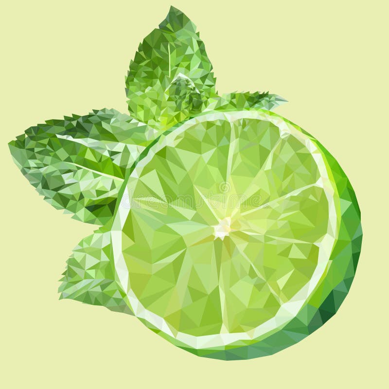Lime Mint Low Poly Stock Illustrations – 55 Lime Mint Low Poly Stock ...