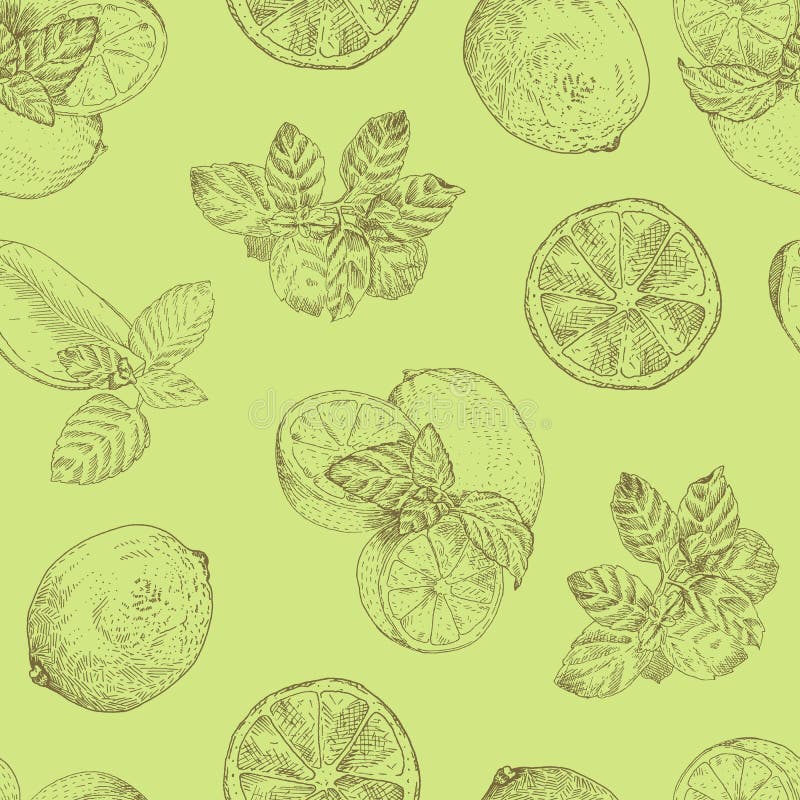 Lime And Mint Lemonade Ink Sketch Set Stock Vector - Illustration of ...