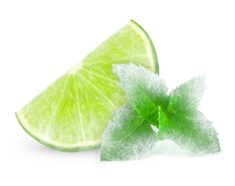 Lime and mint stock illustration. Illustration of fruit - 47346306