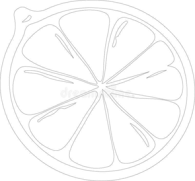 Lime Outline Silhouette Generative Ai Stock Vector - Illustration of ...