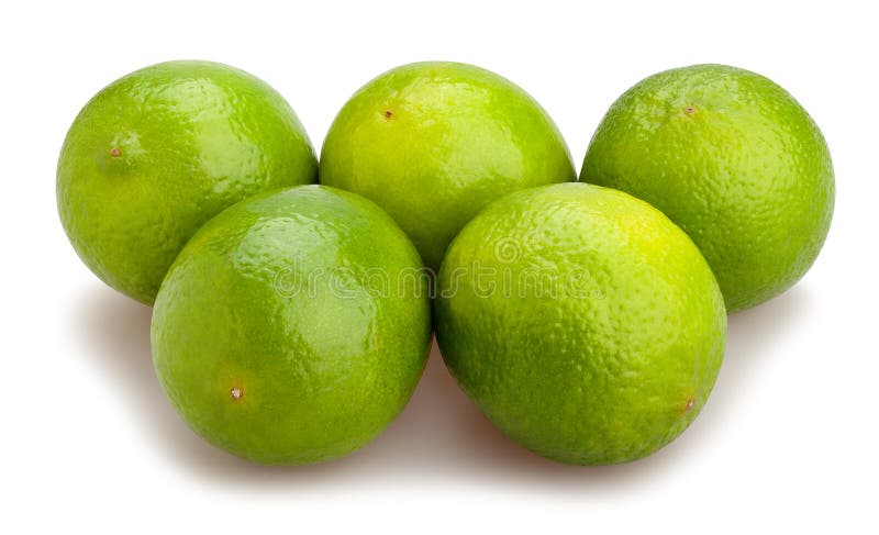 Lime stock photo. Image of isolated, studio, nutrition - 153579758