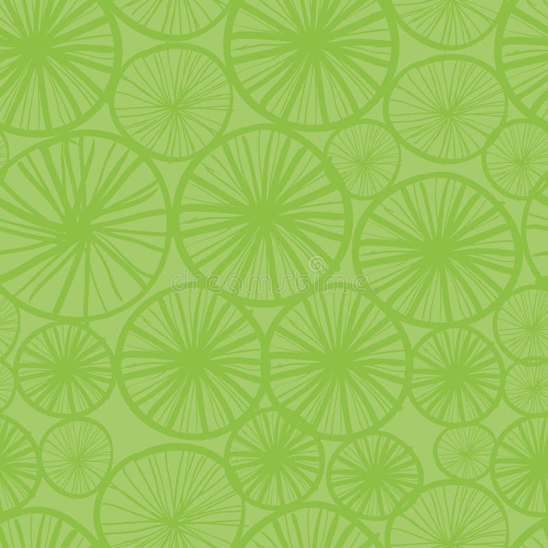Lime stock vector. Illustration of citrus, isolated, health - 15507891