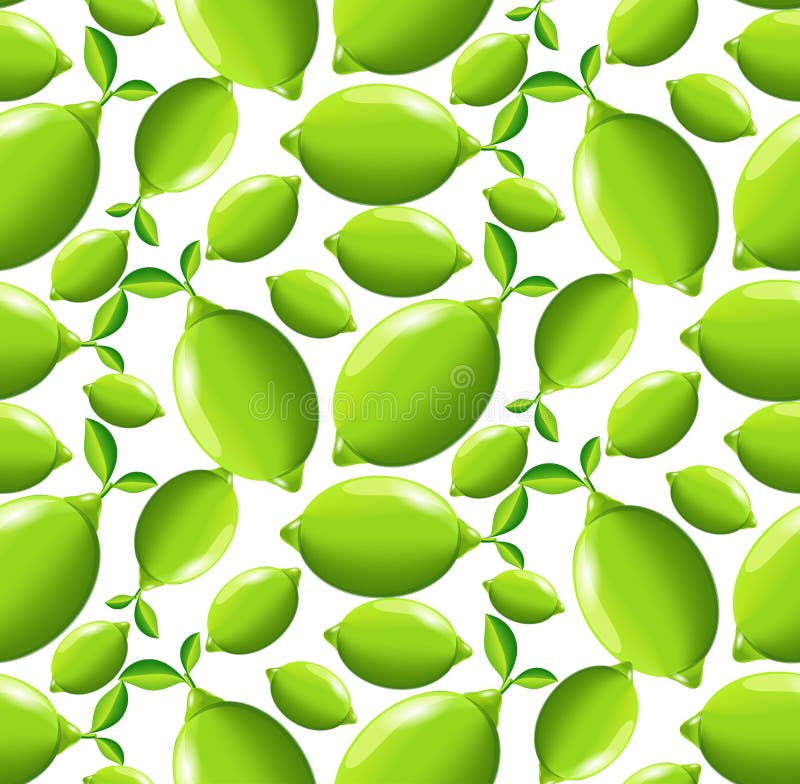 Lime seamless pattern stock vector. Illustration of citrus - 43963060