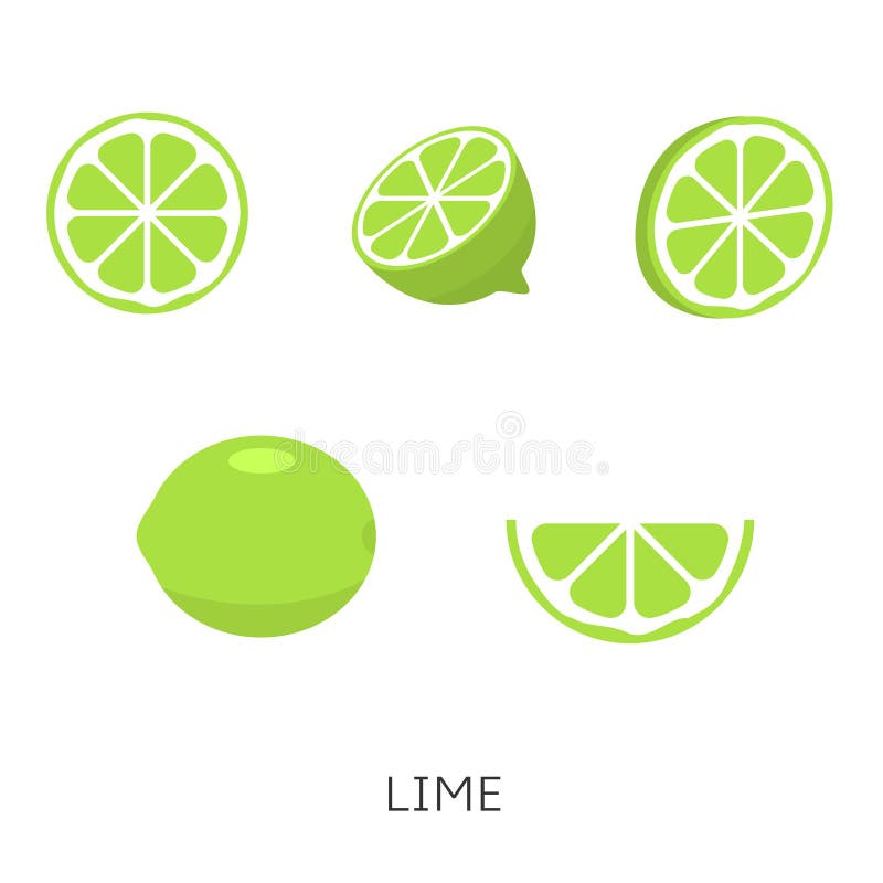 Lime Set Vector Illustration Stock Vector - Illustration of mojito ...
