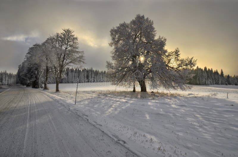 Lime stock photo. Image of rays, road, lime, sunset, light - 37418988