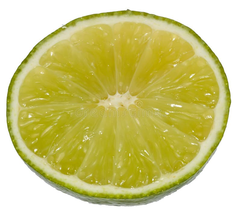 Lime slice stock photo. Image of isolated, small, aurantifolia - 12041644