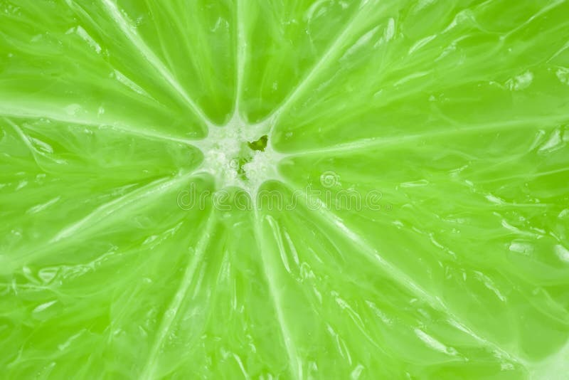 Lime Slice. Fruit Close Up Photo Stock Image - Image of macro, isolated ...