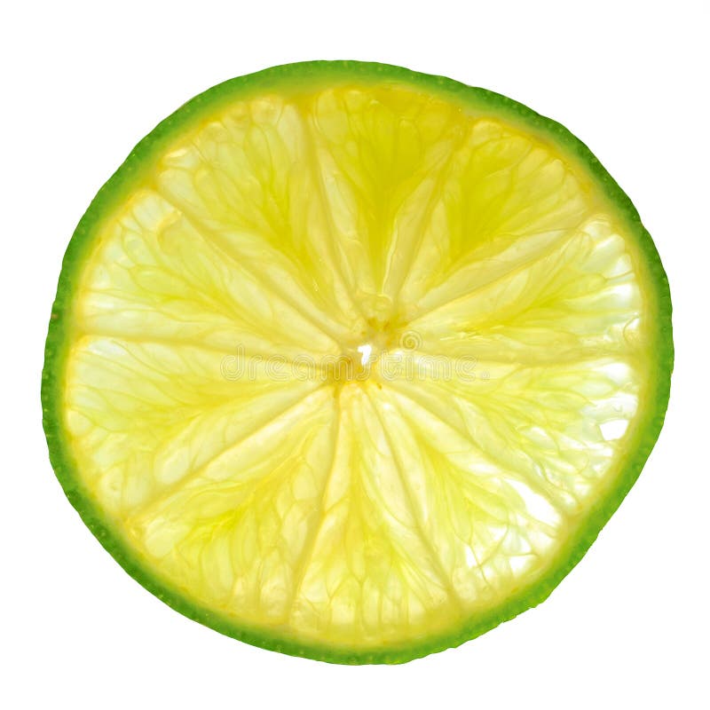 Lime slice stock image. Image of isolated, freshness - 31224655