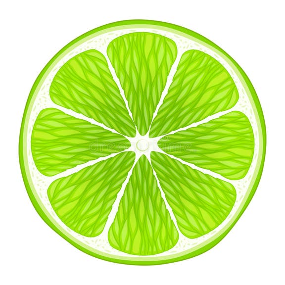 Lime Segment Stock Illustrations – 3,669 Lime Segment Stock ...