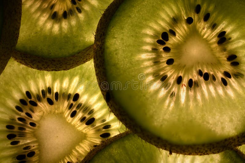Lime Slices in back light stock image. Image of detail - 240815245