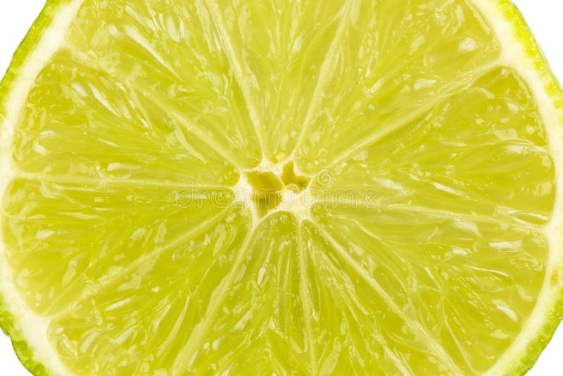 Lime slices stock image. Image of close, citrus, serving - 51356731