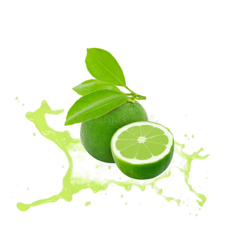 Lime splash stock image. Image of fruit, bright, delicious - 42947857