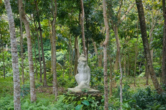 Stone Monkey Statue Bali Style Stock Photo - Image of indonesia, hindu ...