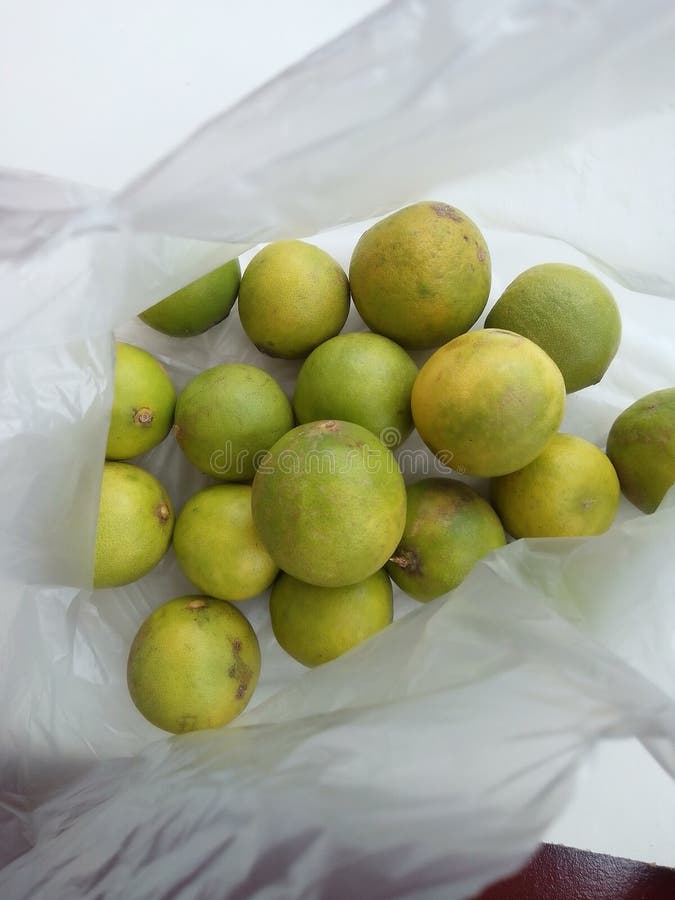 This is a Lime, it Tastes Sweet and Sour Stock Image - Image of sweet ...