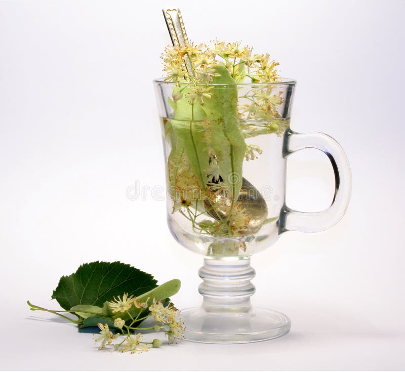 Lime tea stock image. Image of linden, macro, morning - 2606467