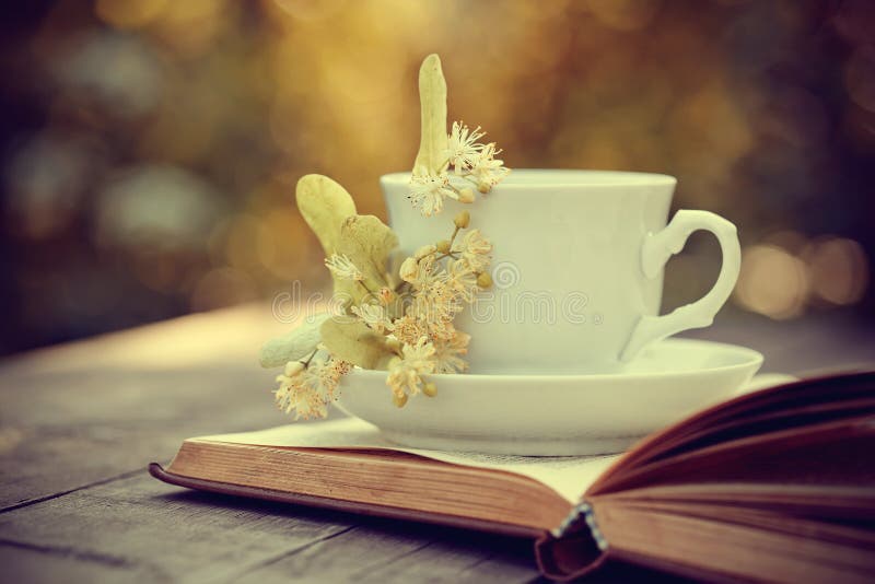 Lime Tea in a White Mug and the Open Book on a Table. Stock Photo ...