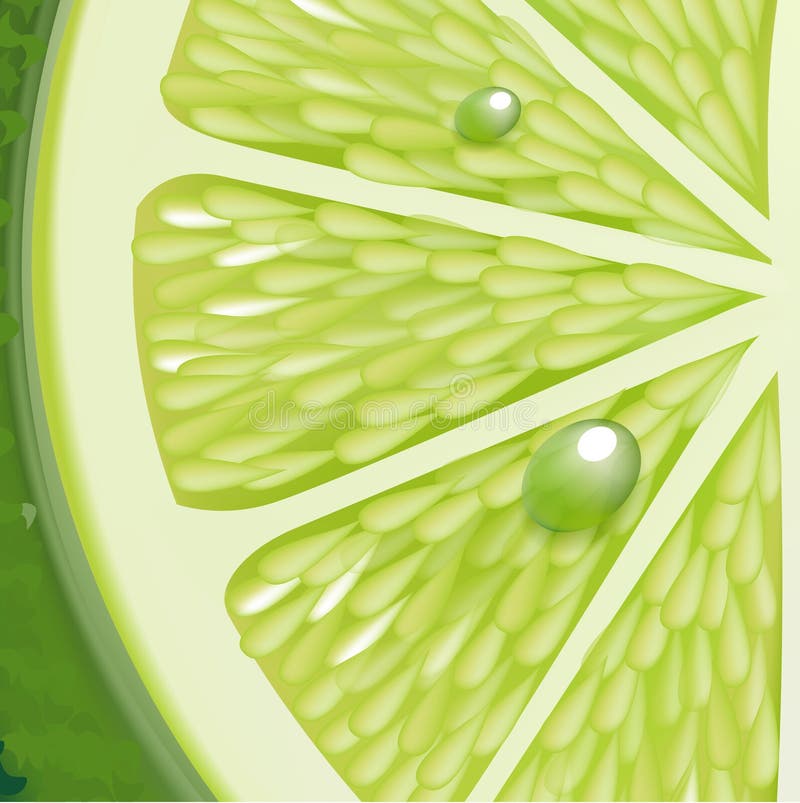Lime Texture Detailed View with Drops Stock Vector - Illustration of ...