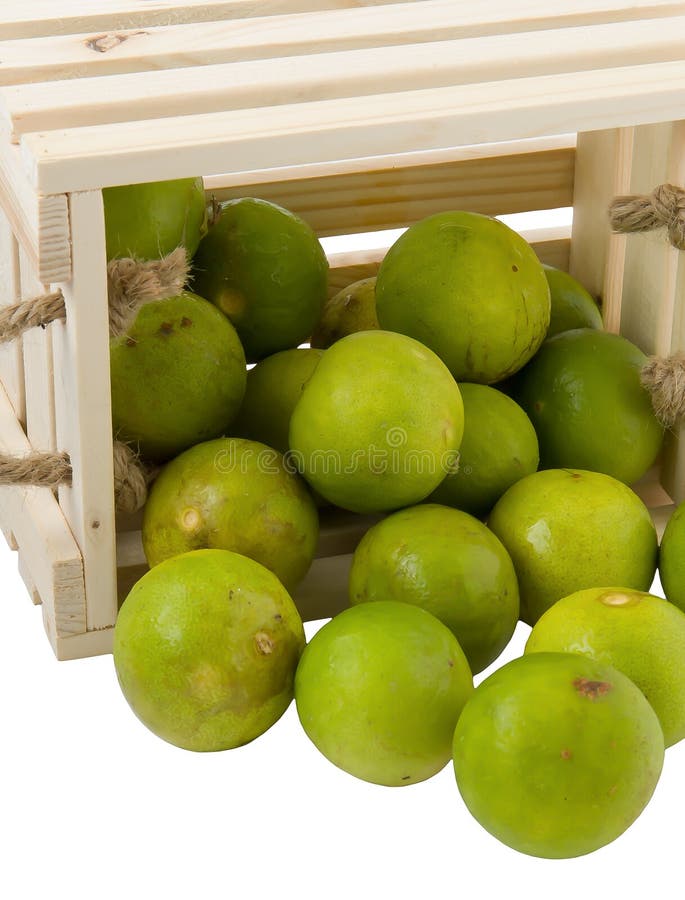 Lime stock image. Image of lime, vegetable, cook, healthy - 39441303