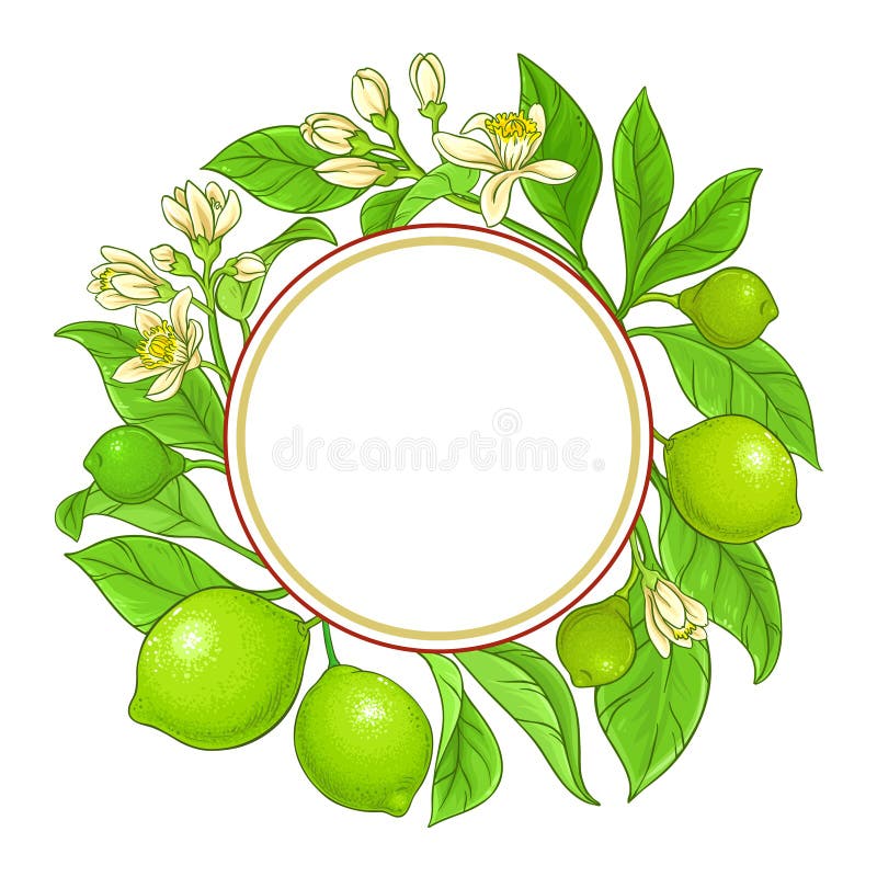 Lime Frame Stock Illustrations – 6,060 Lime Frame Stock Illustrations ...