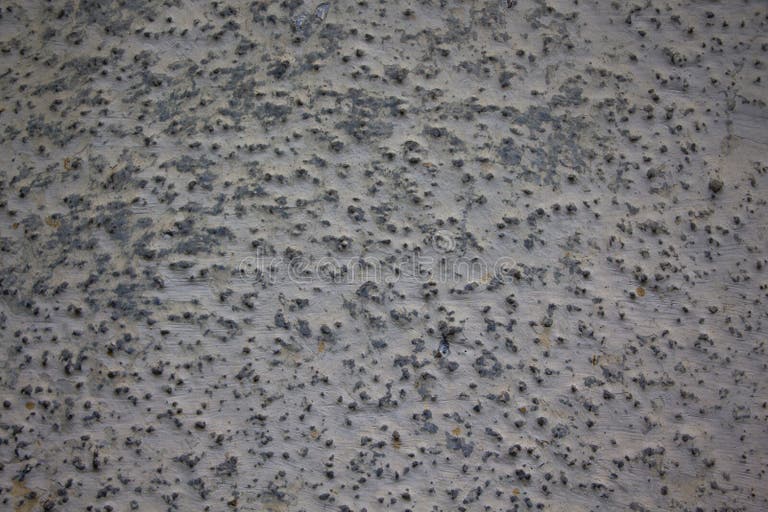 Lime wall stock photo. Image of white, design, cement - 126418622