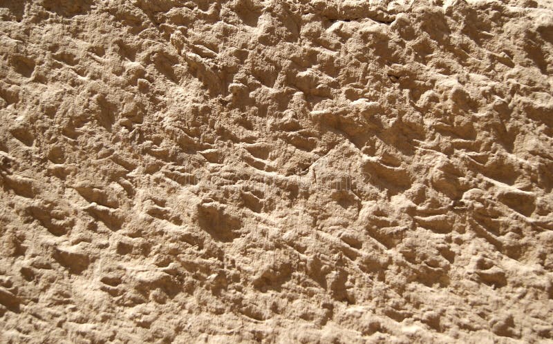 Lime Wall Textured Surface. Close-up Stock Photo - Image of geology ...