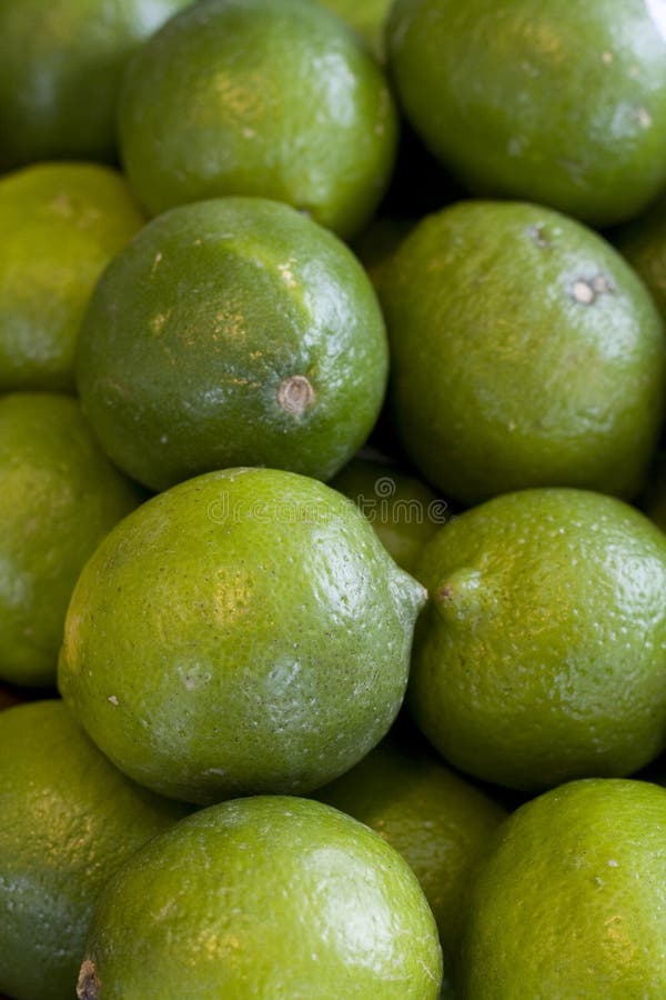 Limes stock photo. Image of crops, fullframe, crop, lime - 25314142