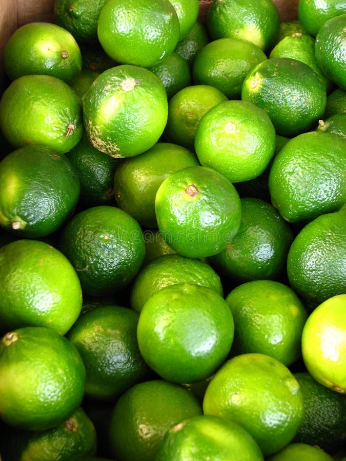 Limes Picture. Image: 84953498