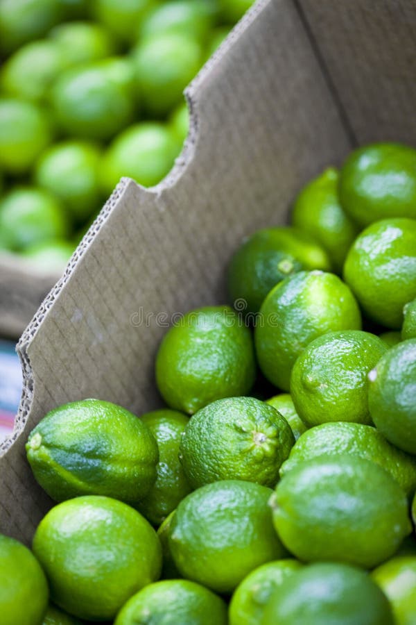 Limes in Box at Market stock image. Image of juicy, green - 13346397
