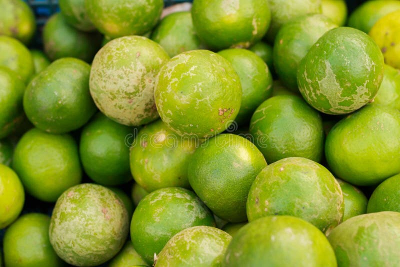 Limes fruit stock image. Image of nature, healthy, diet - 55286097