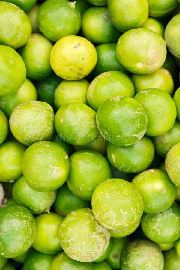 Limes fruit stock photo. Image of dieting, fresh, natural - 55286352