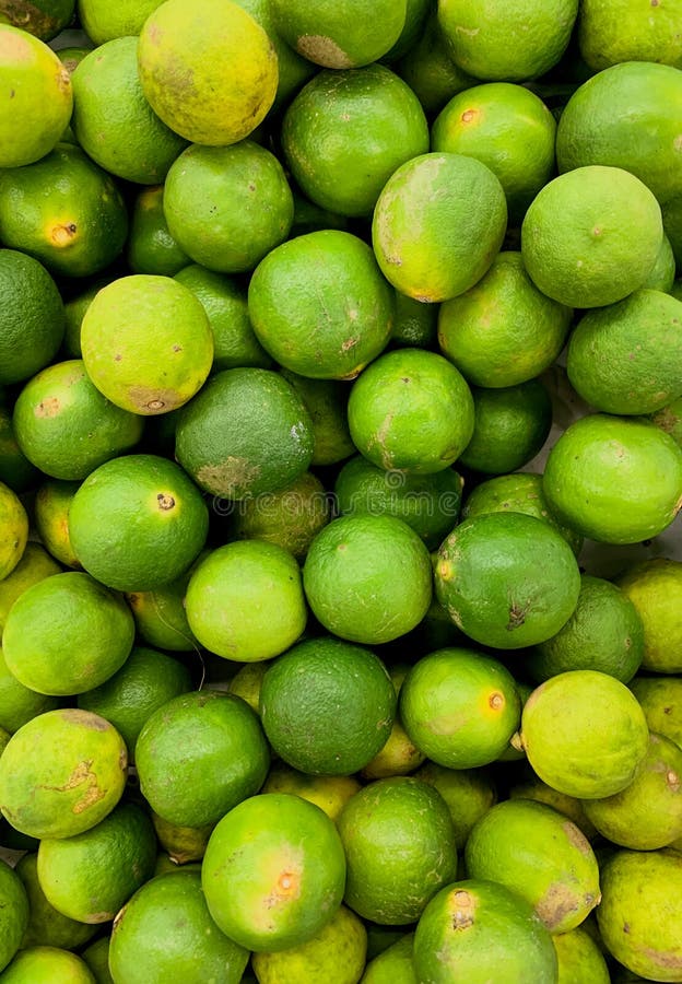 Medium Size Lime with a Bright Green Color Stock Photo - Image of ...