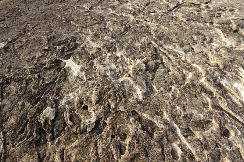 Limestone background stock image. Image of texture, background - 26573913