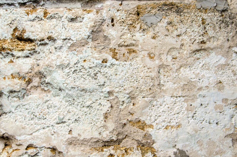 113 Stone Shelly Limestone Texture Stock Photos - Free & Royalty-Free ...