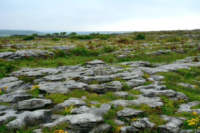 Limestone, the Burren National Park, Ireland Stock Photo - Image of ...