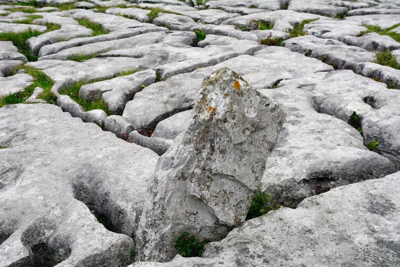 Limestone, the Burren National Park, Ireland Stock Image - Image of ...