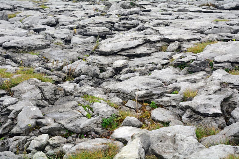 Limestone, the Burren National Park, Ireland Stock Image - Image of ...