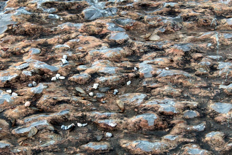 Chert Nodules Stock Photos - Free & Royalty-Free Stock Photos from ...